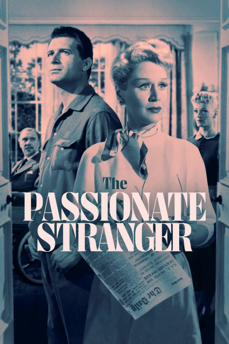 The Passionate Stranger - Vintage Classics